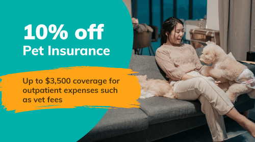 Promotions - Leading digital insurance company in Singapore | TIQ Singapore