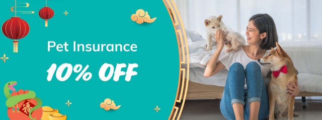 Pet Insurance - Leading digital insurance company in Singapore | TIQ ...